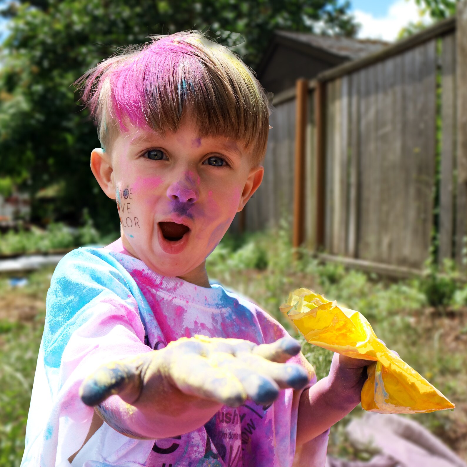 50 Individual Color Powder Packets Holi Powder Fun Runs - Etsy