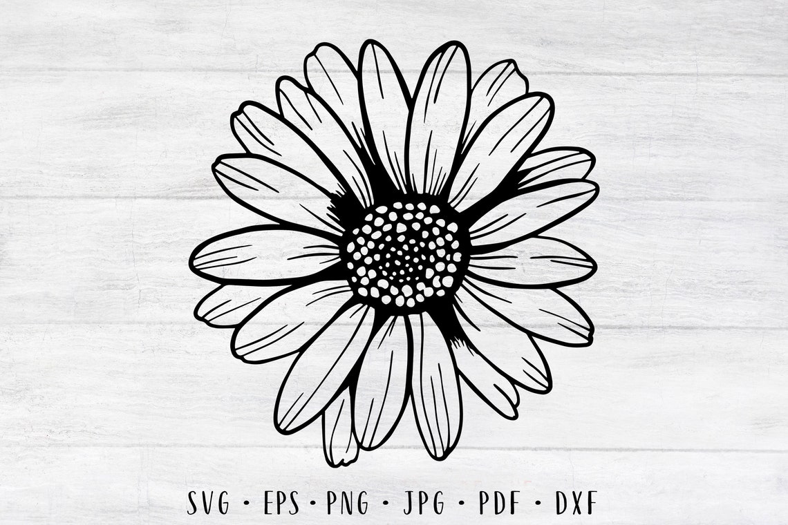 Daisy Flower Svg Daisy Svg Flower Svg Sunflower Svg Daisy | Etsy