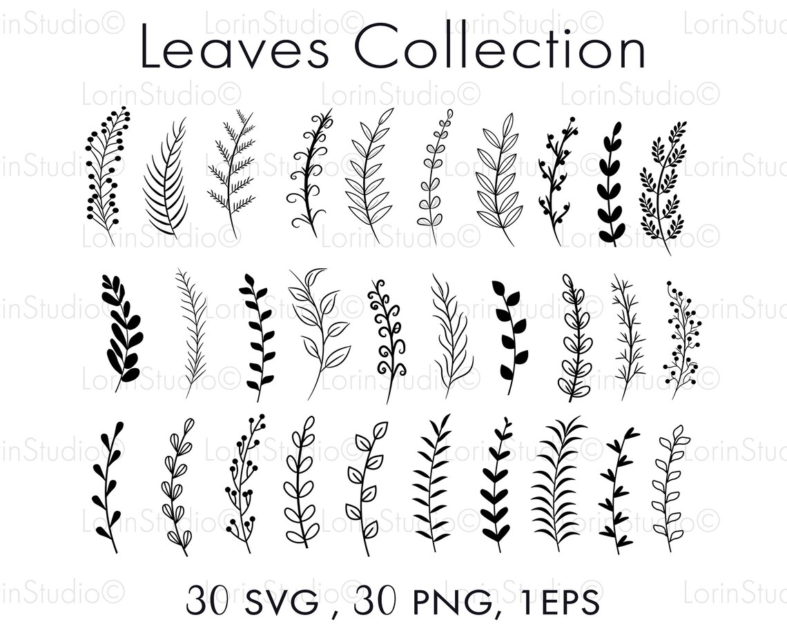 Leaves Bundle Svg Leaves Set Svg Leaves Set Png Leaf Svg File - Etsy Canada