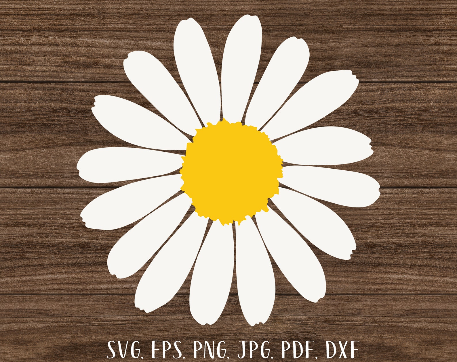 Daisy bundle svg Flower svg Daisy monogram Daisy svg Daisy | Etsy