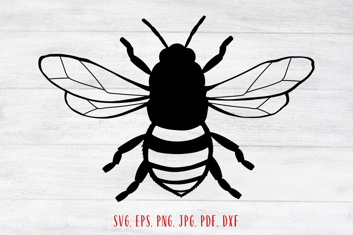 Bee Svg Bee Png Bee Clipart Honey Bee Svg Bee Cut File Bee - Etsy
