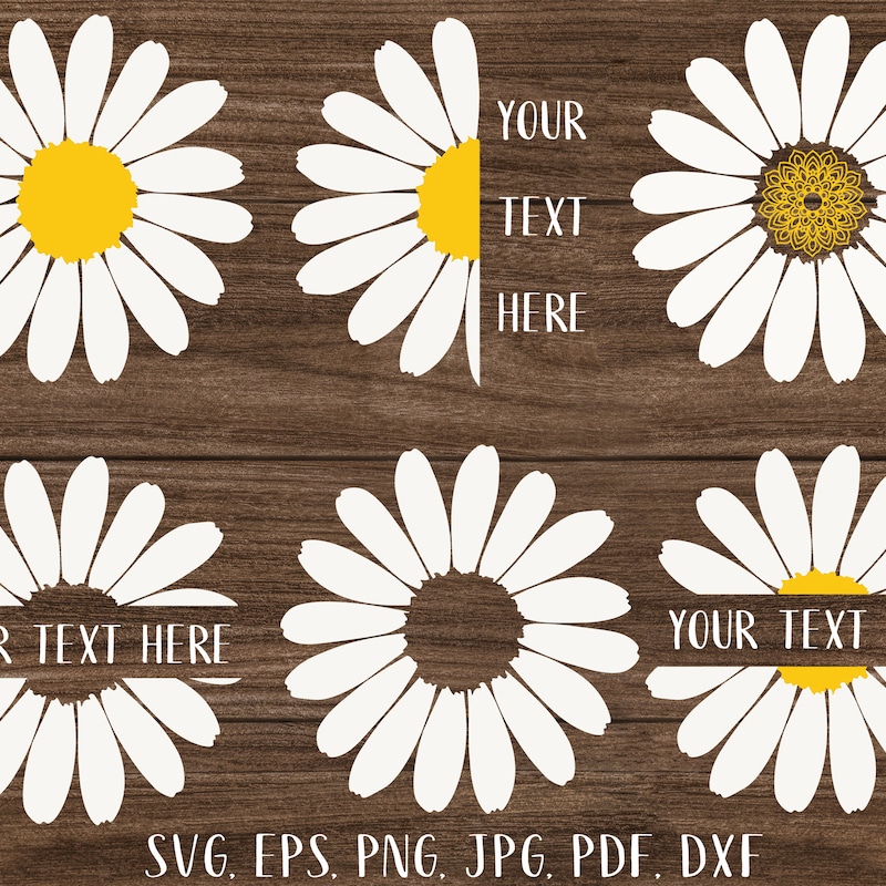 Daisy Svg - Etsy