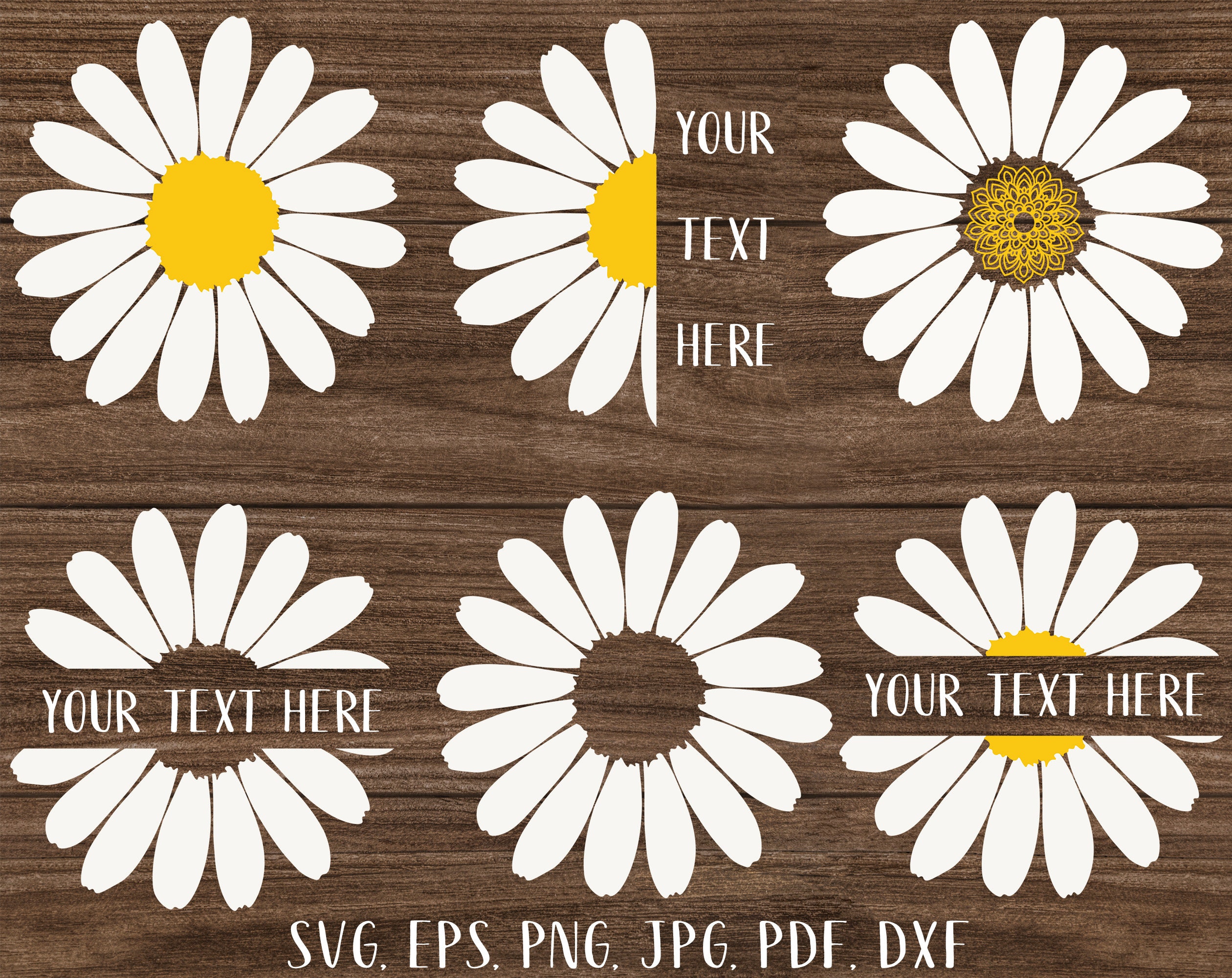 Daisy bundle svg Flower svg Daisy monogram Daisy svg Daisy | Etsy