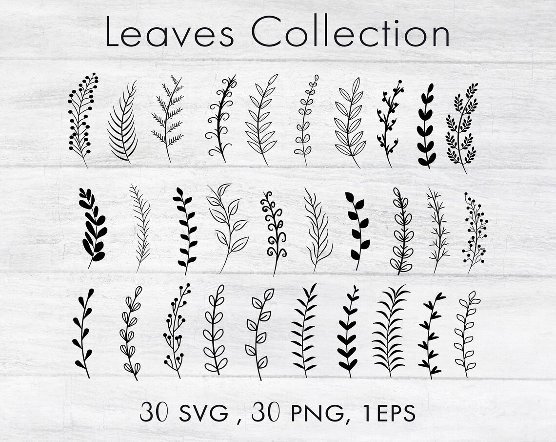 Leaves bundle svg Leaves set svg Leaves set png Leaf svg file | Etsy