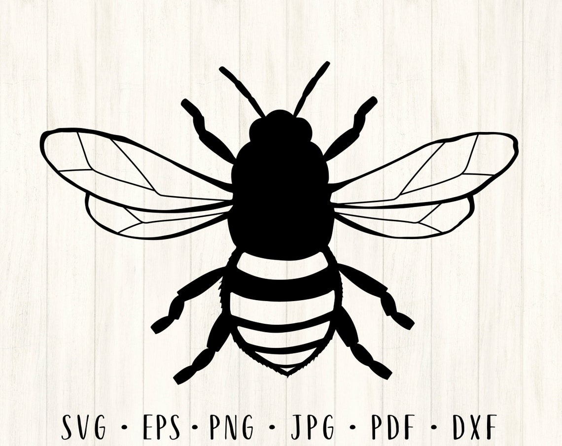 Bee Svg Bee Png Bee Clipart Honey Bee Svg Bee Cut File Bee - Etsy