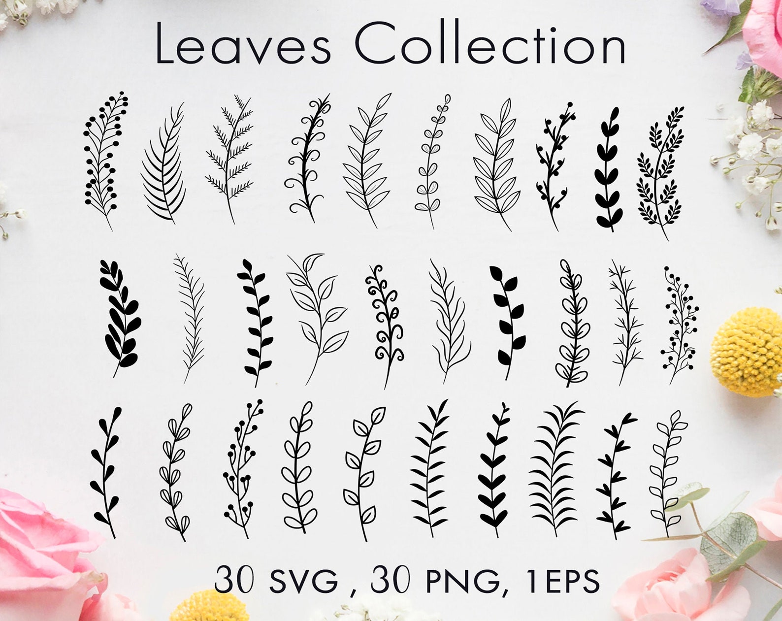 Leaves Bundle Svg Leaves Set Svg Leaves Set Png Leaf Svg File Leaves ...