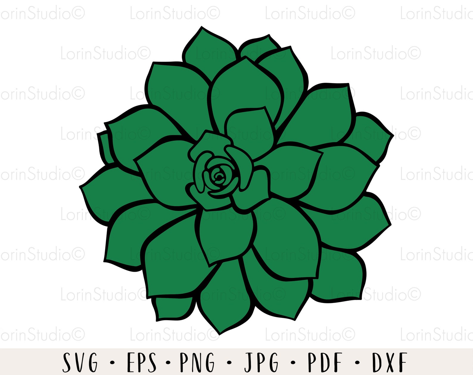 Succulent Svg Bundle Succulent Cut File Succulent Monogram Split Flower ...