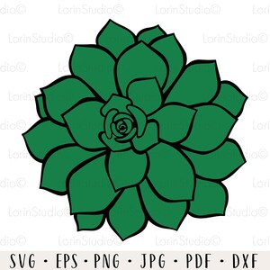 Succulent Svg Bundle Succulent Cut File Succulent Monogram Split Flower ...