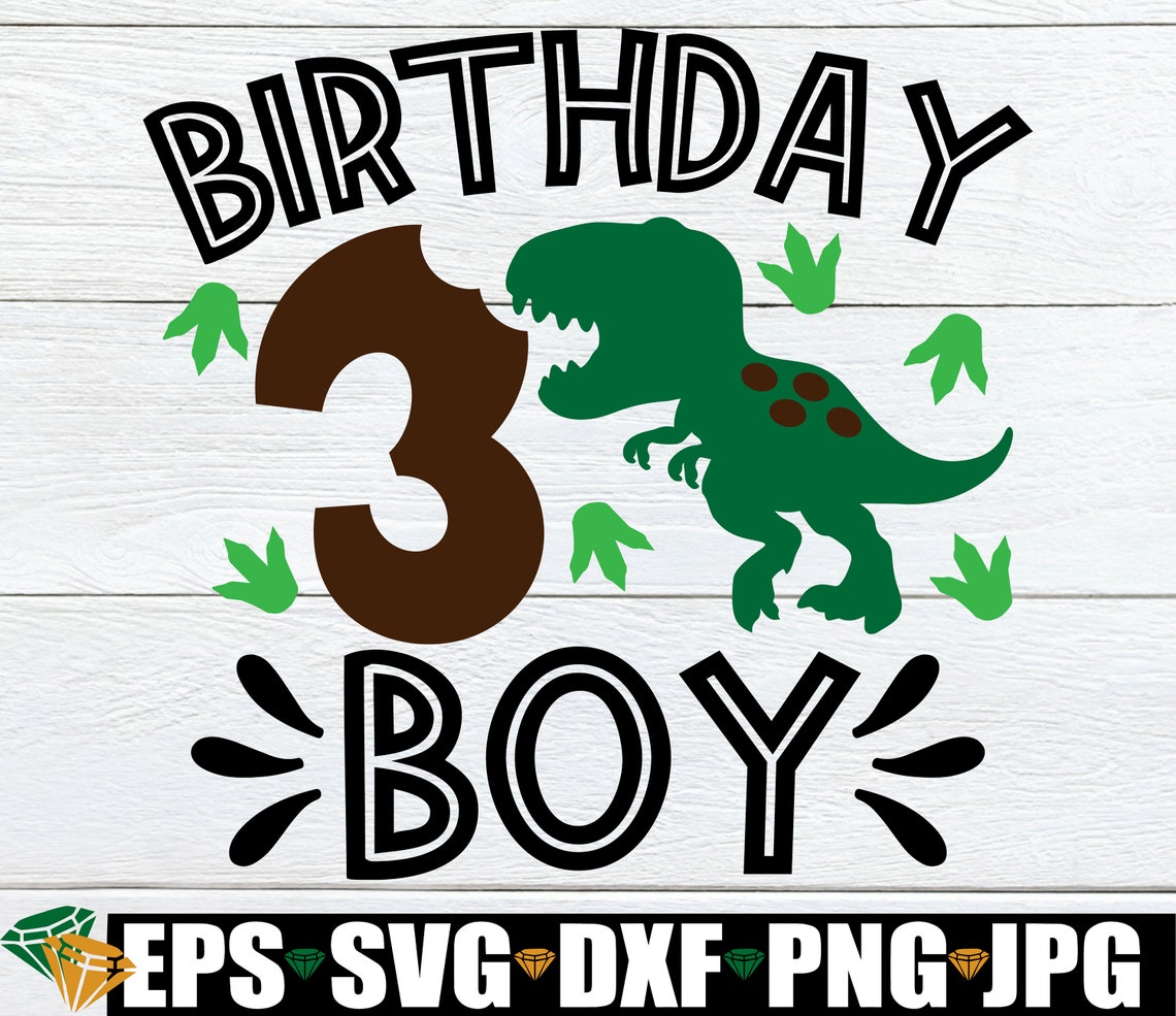 Birthday Boy 3rd Birthday Dinosaur Birthday Dinosaur 3rd | Etsy