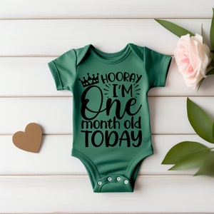 Hooray I'm One Month Old Today, One Month Milestone, 1st Month ...