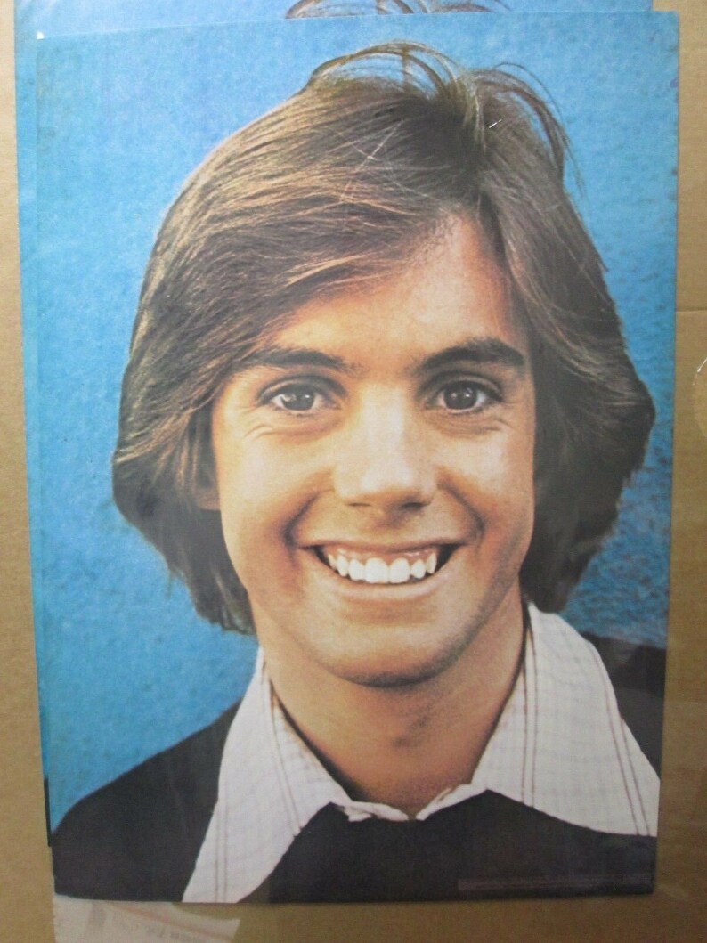 Vintage Poster Shaun Cassidy THE HARDY BOYS 1977 Inv270 | Etsy