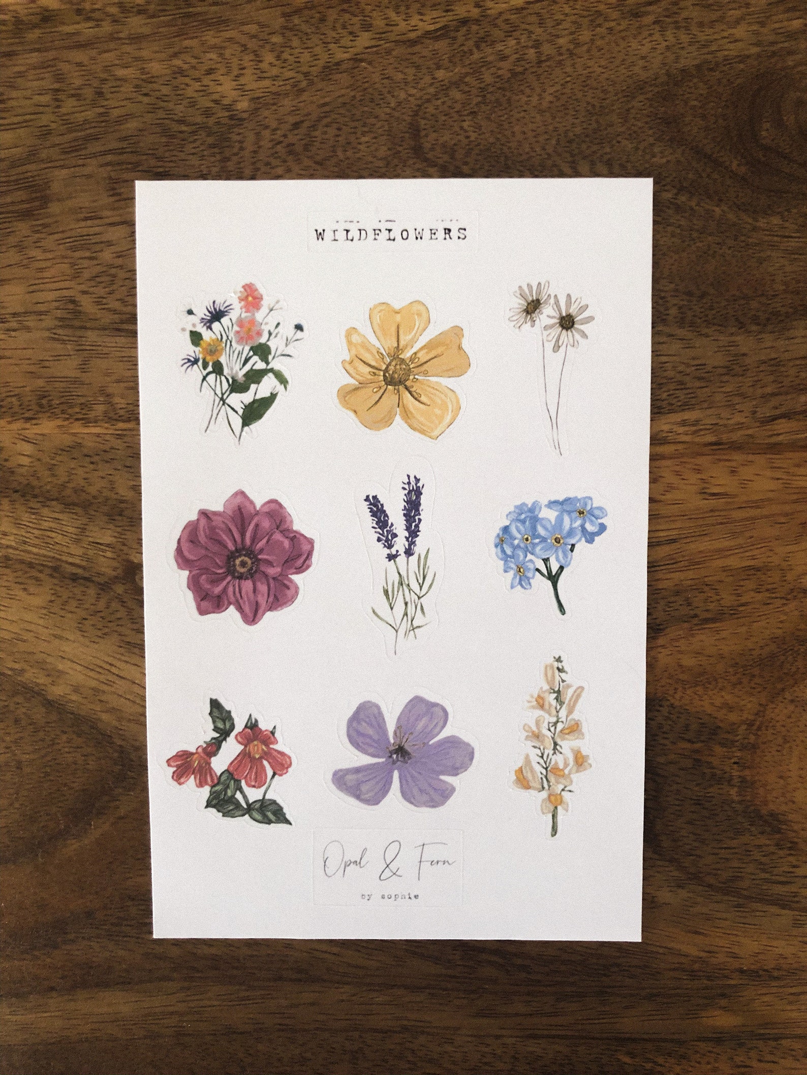 Wildflowers Sticker Sheet - Etsy