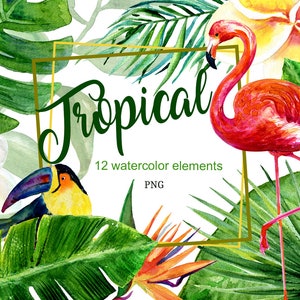 Watercolor Tropical Flowers, Toucan, Flamingos Clipart, Hawaii ...