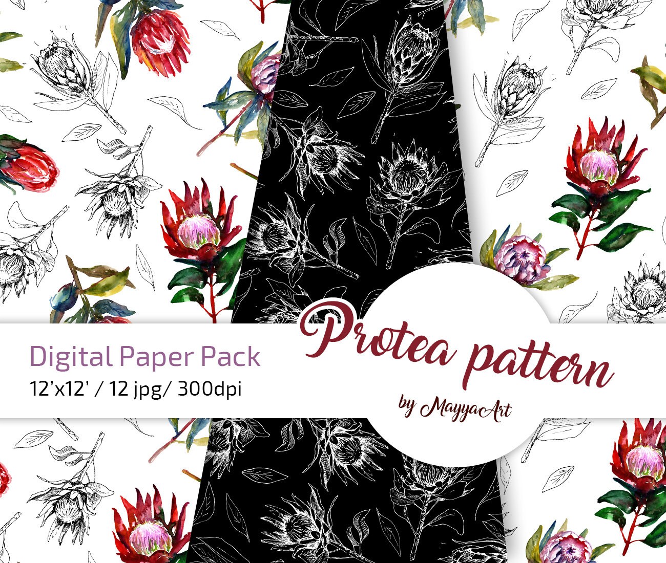Protea Fabric, Watercolor Seamless Pattern, Line Drawing, Tropical ...