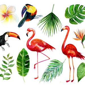 Watercolor Tropical Flowers, Toucan, Flamingos Clipart, Hawaii ...