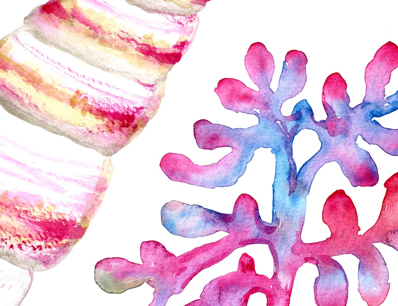 Seashells Watercolor Clipart, Nautical Clipart, Ocean Shell Starfish ...