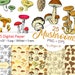 Mushroom Fall Clipart, Seamless Pattern, Vintage Mushroom Clipart ...