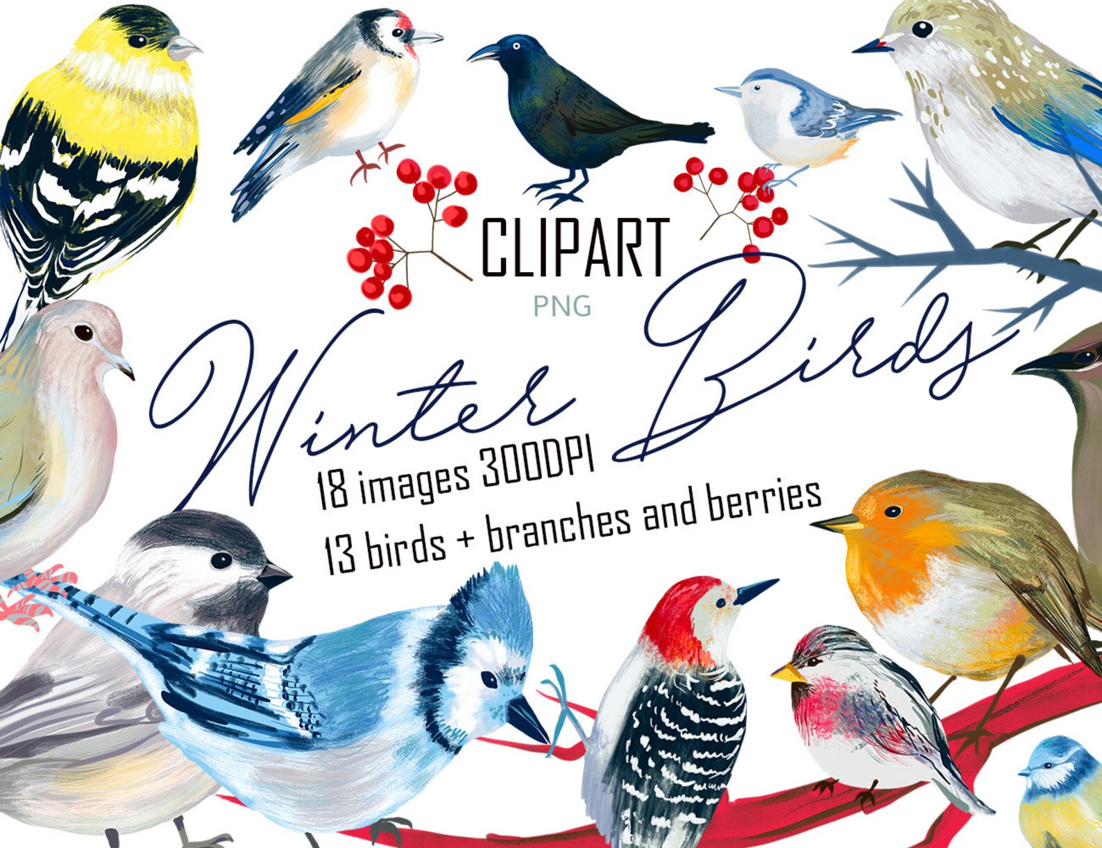 Watercolor Birds Clipart, Winter Birds Set, Woodland Animals - Robin ...