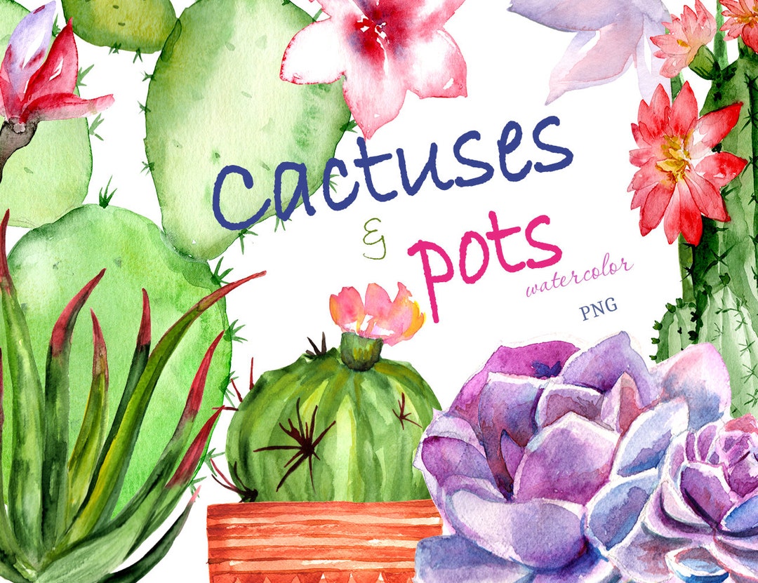 Watercolor Cactus Clipart Set, Hand Painted Cactus Clip Art, Succulent ...