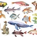 WATERCOLOR Fish CLIPART Sea Animal Clipart Ocean Beach - Etsy