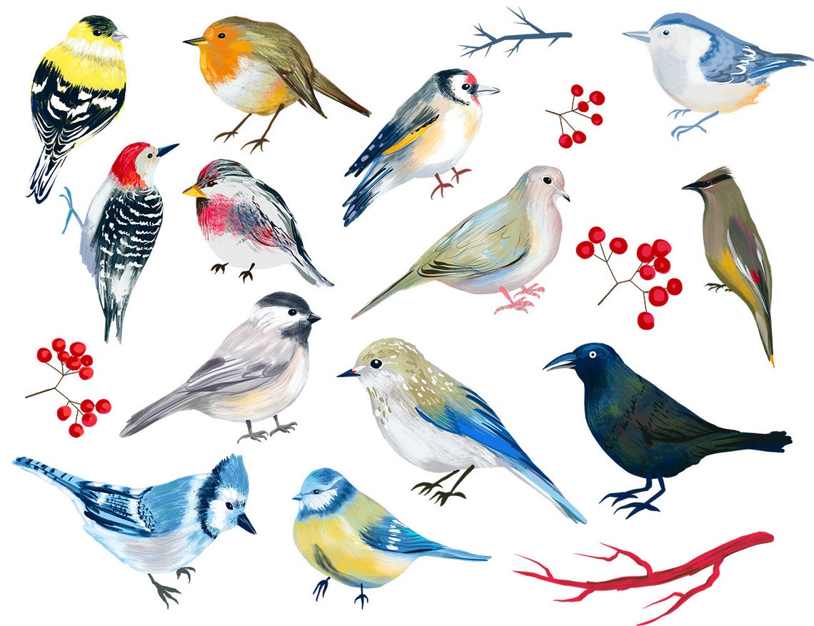 Watercolor Birds Clipart, Winter Birds Set, Woodland Animals Robin ...