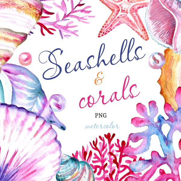 Seashell Watercolor - Etsy