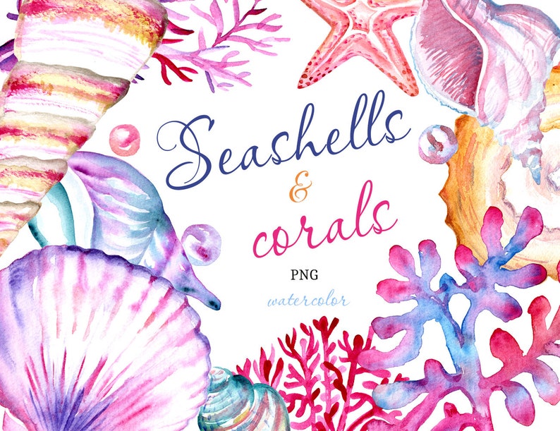 Seashells Watercolor Clipart, Nautical Clipart, Ocean Shell Starfish ...