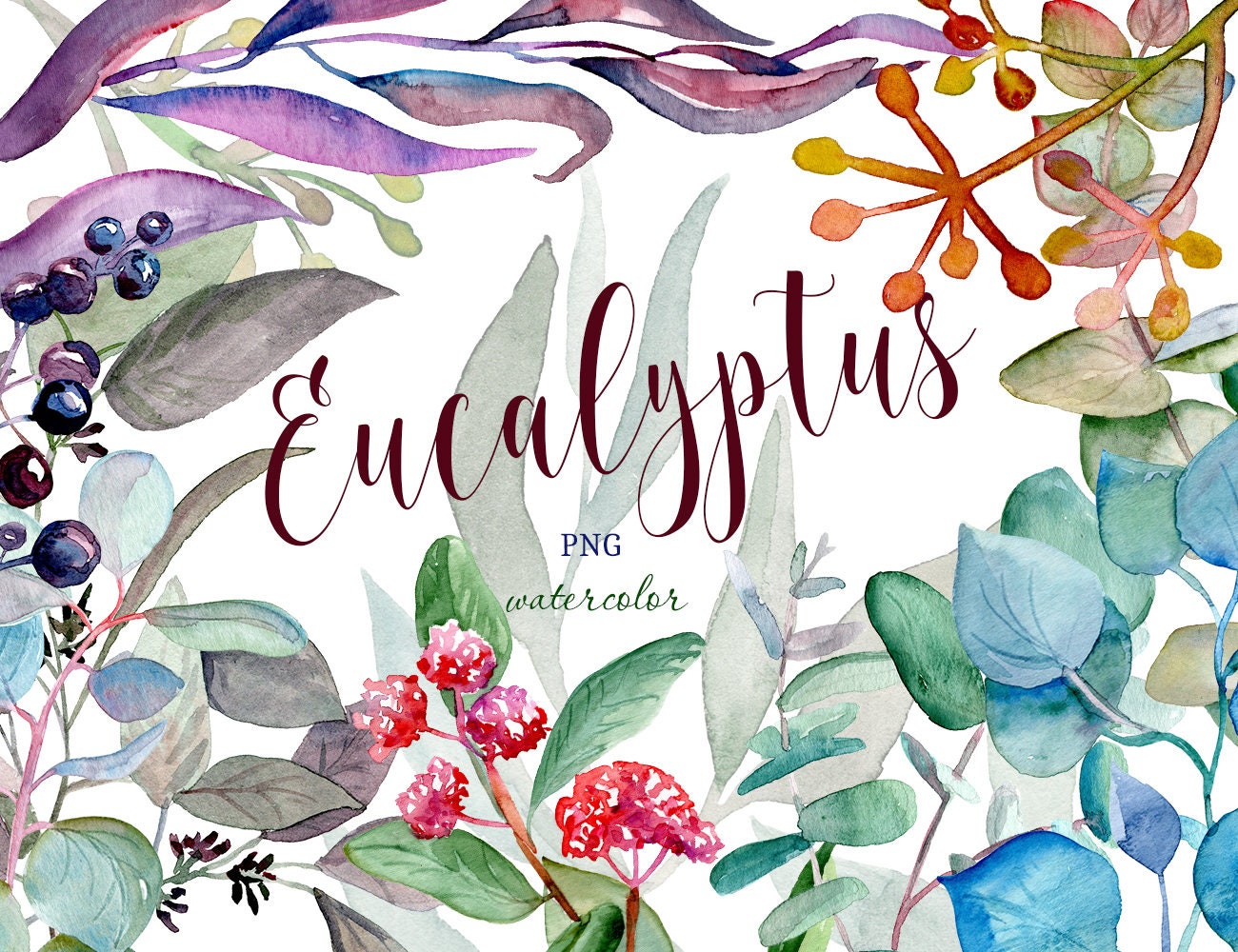 Watercolor Eucalyptus Floral Clipart Individual Elements Green Leaves ...