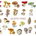 Mushroom Fall Clipart, Seamless Pattern, Vintage Mushroom Clipart ...