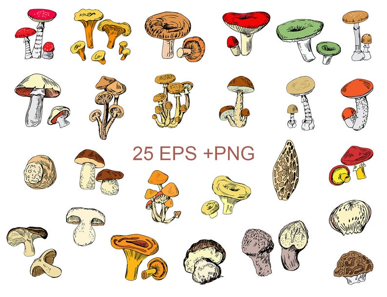 Mushroom Fall Clipart, Seamless Pattern, Vintage Mushroom Clipart ...
