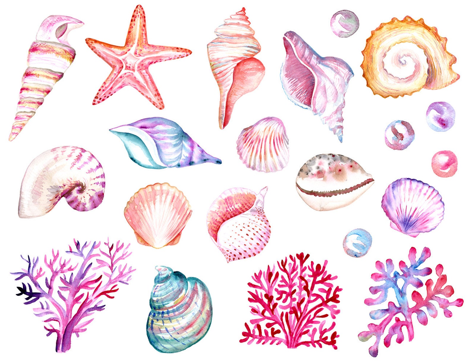 Seashells Watercolor Clipart, Nautical Clipart, Ocean Shell Starfish ...