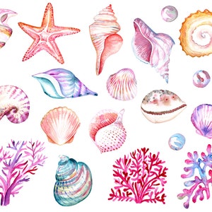 Seashells Watercolor Clipart, Nautical Clipart, Ocean Shell Starfish ...