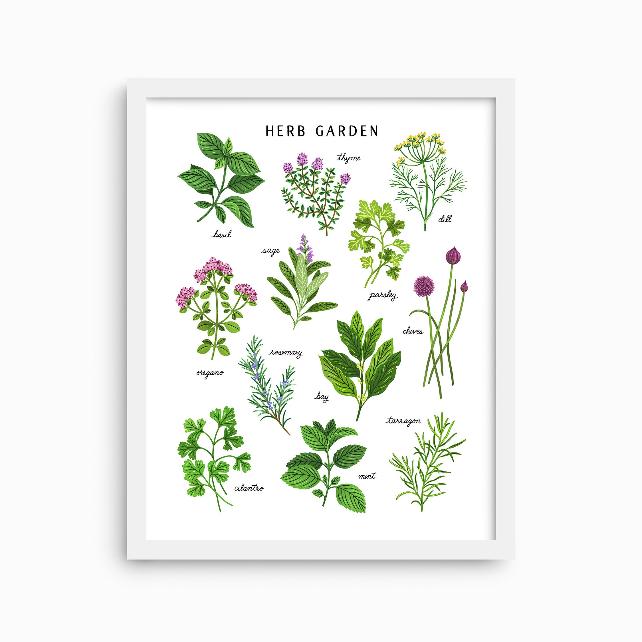 Herb Garden Art Print | Light - Etsy