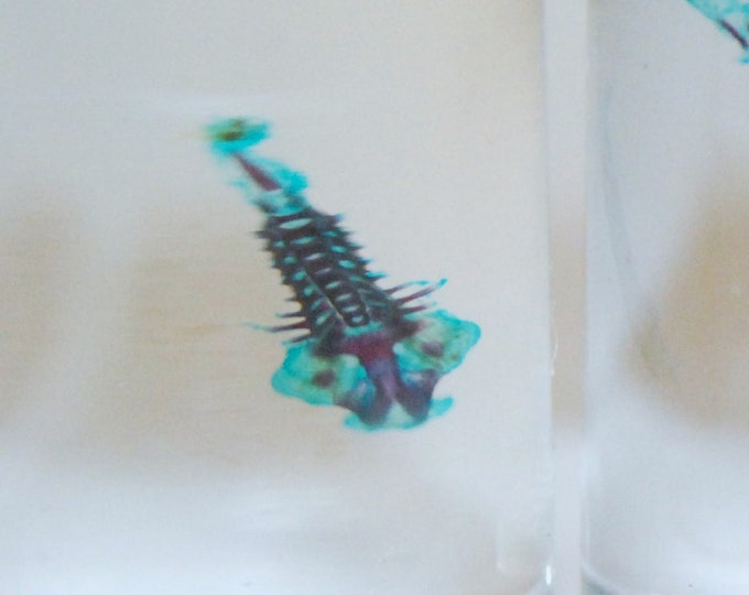 Diaphonized TADPOLE SKELLETON, XS Kawaii, Wet Specimen, Diaphonization ...