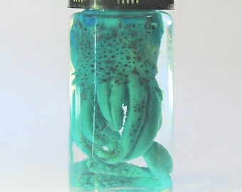 Real Cute PINK Cuttlefish in a Jar, Wet Specimen, Squid, Tentacles ...