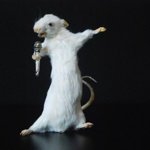 Singing Mouse Taxidermy Mice Taxidermy Band Ethically - Etsy
