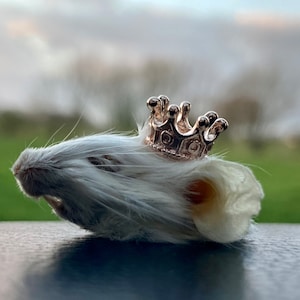 Royal Mummified Mouse Head - Etsy