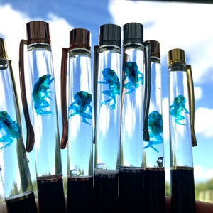 Frog Pen Unique Diaphonized FROGLET, Toad, Novelty Pen. Wet Specimen ...