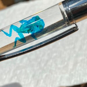 Frog Pen Unique Diaphonized FROGLET, Toad, Novelty Pen. Wet Specimen ...