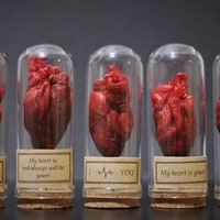 Mummified - Etsy