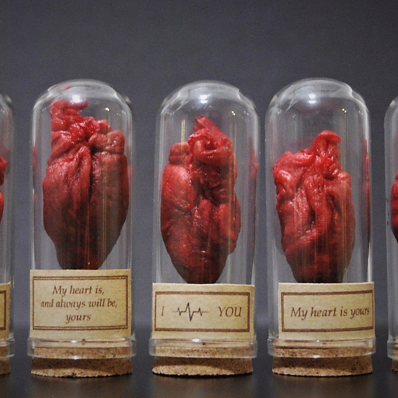 Mummified Heart Real - Etsy