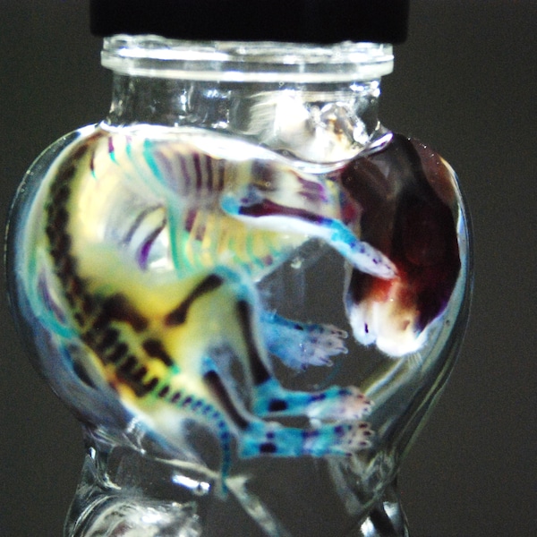 Diaphonization - Etsy