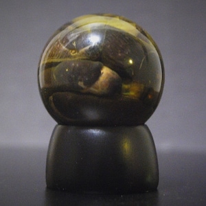 GLOBE: SLUGS, Symbol for Determination and Strenght. Wet Specimen ...