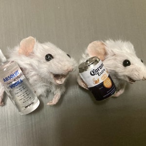 Happy Drunk Mouse Head Mounts- It's 5 O'clock Somewhere - Darkly ...