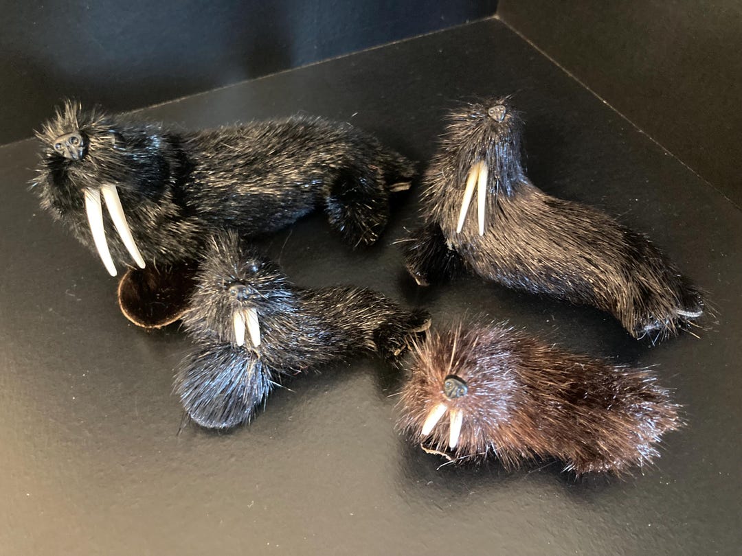 Vintage Mink Fur Walrus Family – 1950s-1960s West German Collectibles ...