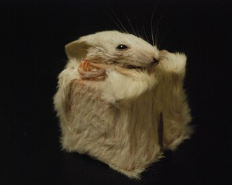 Taxidermy \u2022 #A263 Real Articulated Mouse Leg Paw Mice Mouse Rat ...