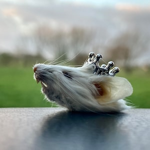 Royal Mummified Mouse Head - Etsy