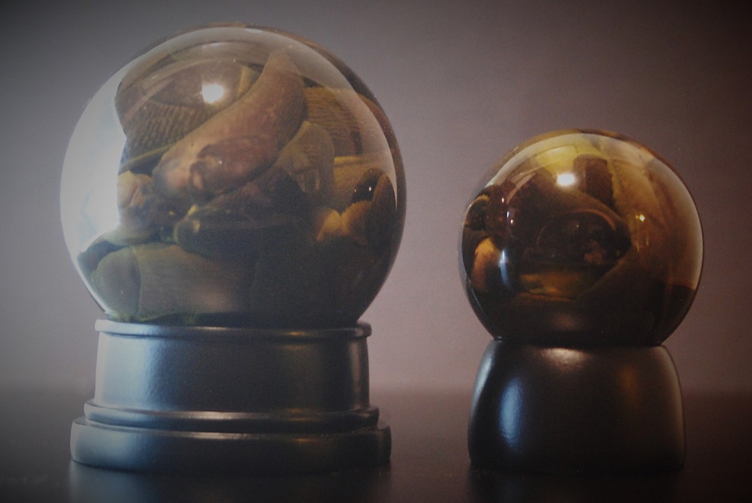 GLOBE: SLUGS, Symbol for Determination and Strenght. Wet Specimen ...