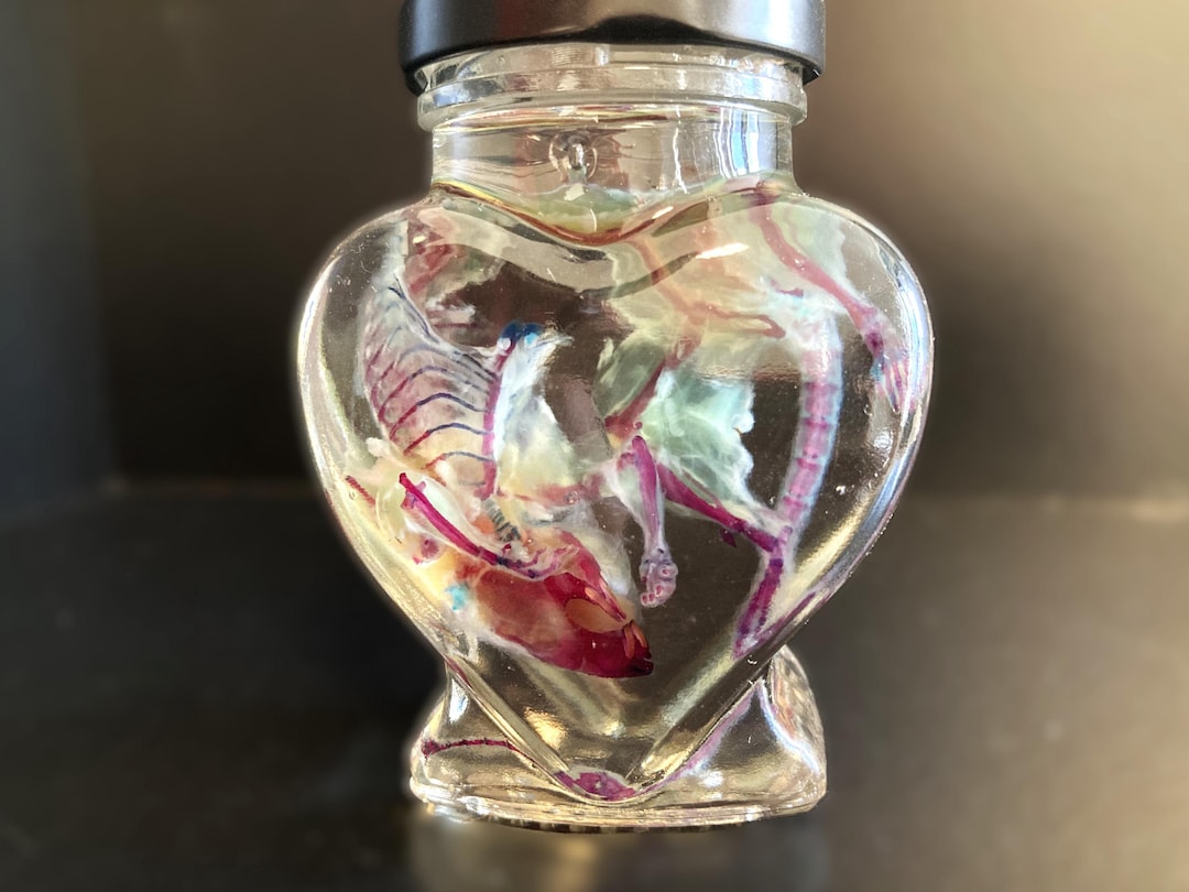 HEART JAR: Mouse, Diaphonized. Creepy Cute. Classic Purple/blue ...