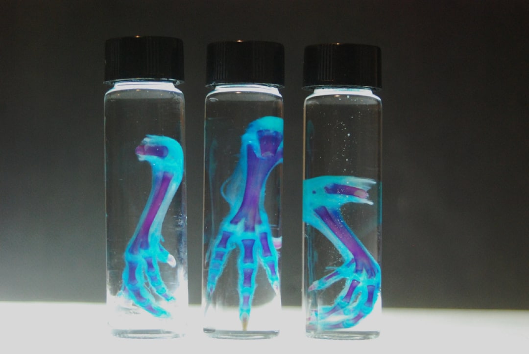 FETAL Diaphonized BIRDCLAW, Wet Specimen, Diaphonization Classic Purple ...